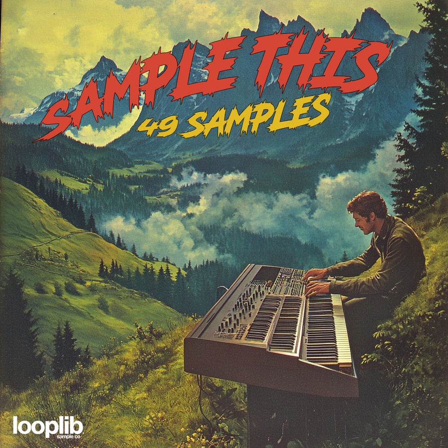 Looperman Loops: A Beginner's Guide to Sampling and Beats – Looplib